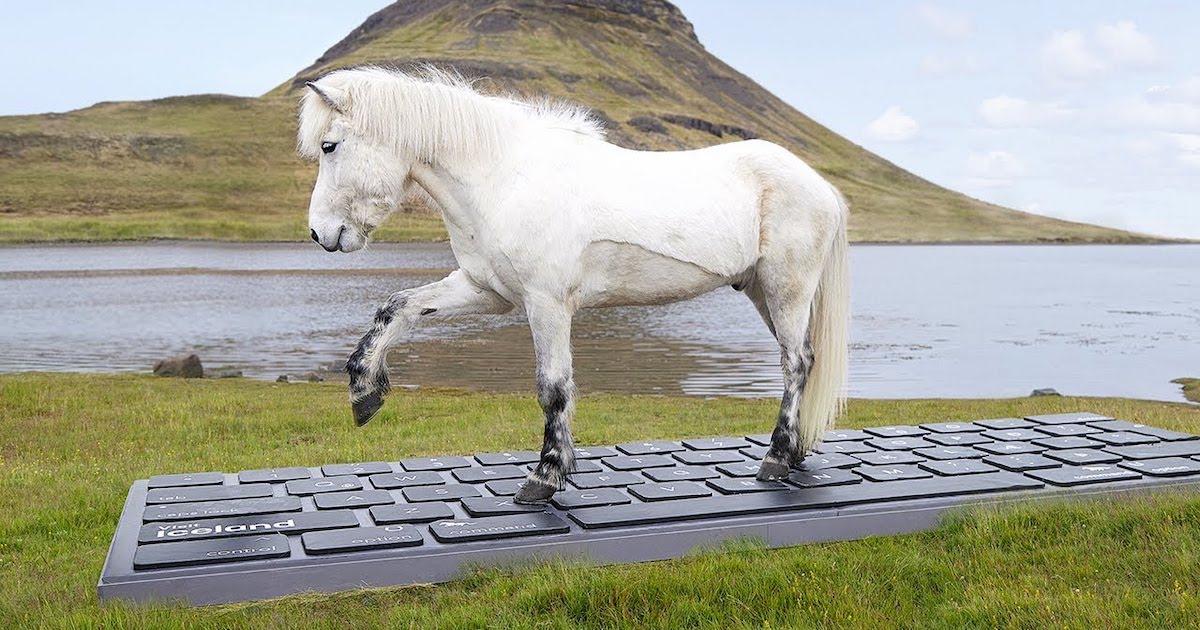 Ces chevaux islandais au clavier peuvent répondre à vos e-mails ...